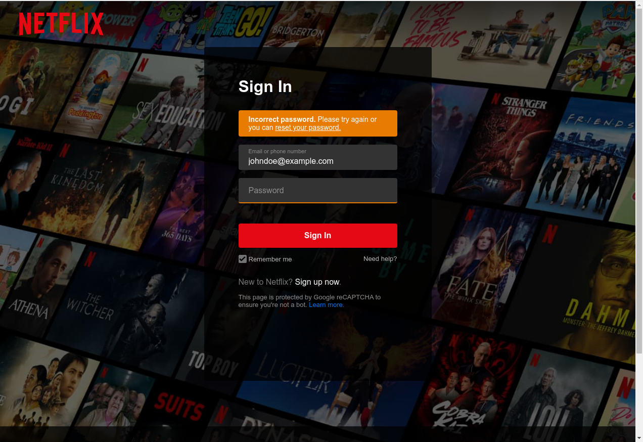 [Success] Test: Login to Netflix