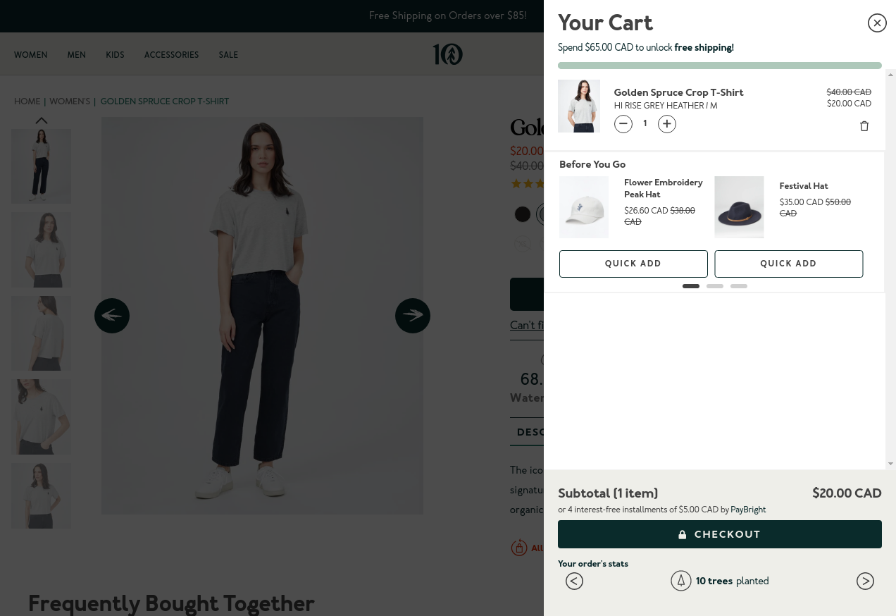 How to Automate Checkouts and Payments on Shopify?